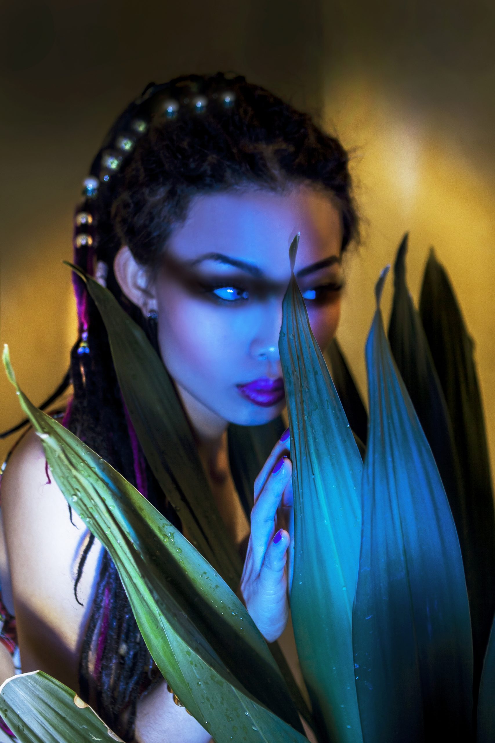 Incarnation - Kodd Magazine